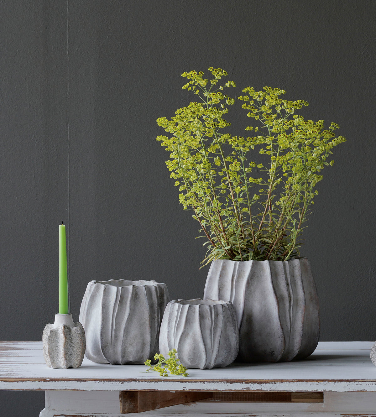 About Blue Ocean Traders