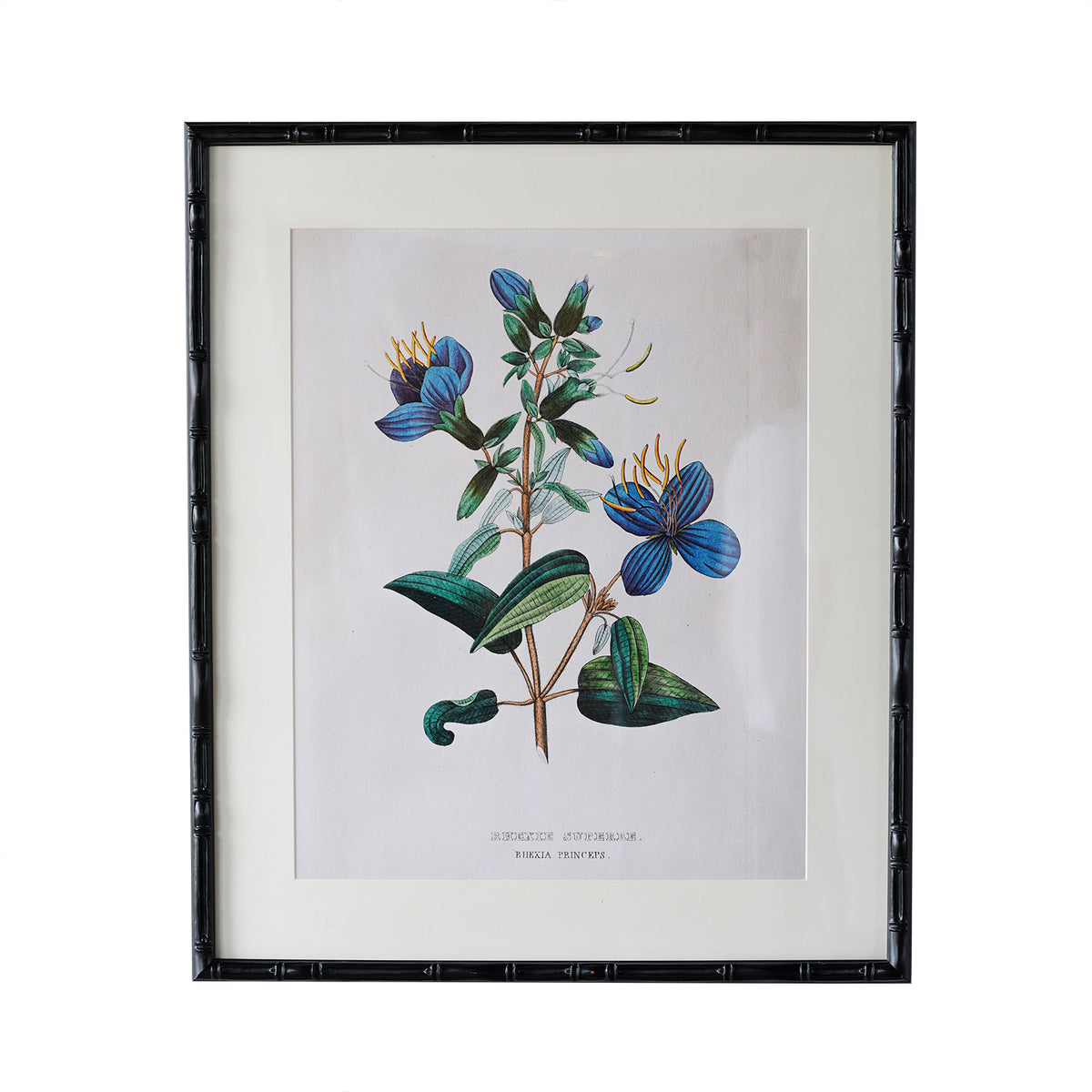 Castleford Matted Frame — Blue Ocean Traders